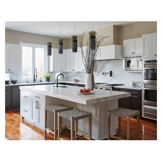 Color Block Kitchen - Transitional - Kitchen - Chicago - by Staci Munic ...