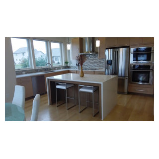 Contemporay Kitchen - Contemporary - Kitchen - Chicago - by KBL Design ...