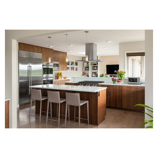 COOKING UP A MODERN ENTERTAINING SPACE - Contemporary - Kitchen ...