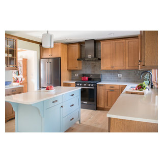 Craftsman Kitchen - Transitional - Kitchen - Chicago - by Spectrum ...