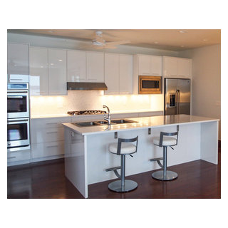 Crystal Lake Project - Modern - Kitchen - DC Metro - by REHAU Cabinet ...