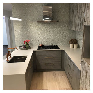 Designs - Modern - Kitchen - Toronto - by Apollo Kitchens Inc. | Houzz