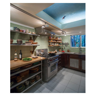 Dolphin House Kitchen - Modern - Kitchen - Miami - by William Hoffman ...