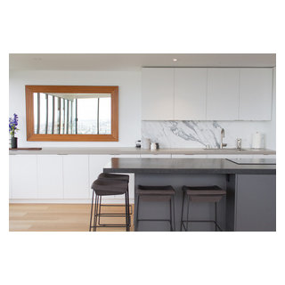 Oakland Residence - Modern - Kitchen - San Diego - by ASR DESIGN STUDIO ...