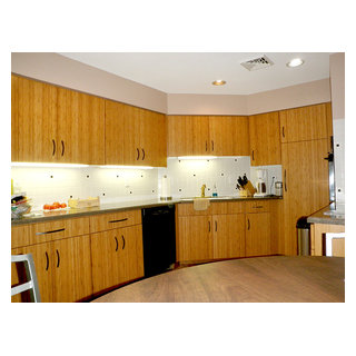 Exotic Bamboo Wood - Flat Panel Door in Natural Finish - Asian ...