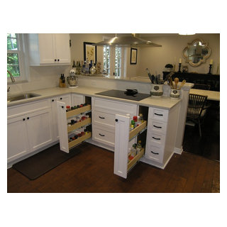 Feather Kitchen South Tampa - Traditional - Kitchen - Tampa - by ...