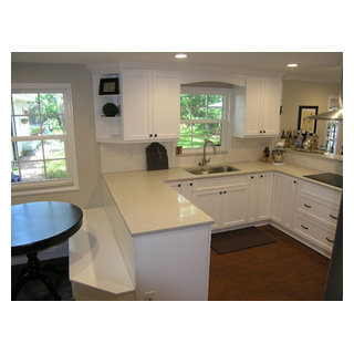 Feather Kitchen South Tampa - Traditional - Kitchen - Tampa - by ...