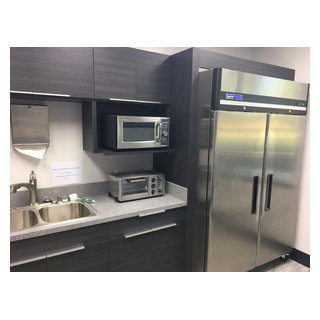 FRAMELESS EUROPEAN STYLE KITCHEN CABINETS WITH QUARTZ COUNTERTOPS ...