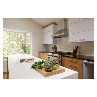 Function & Style: Modern Kitchen Redesign - Modern - Kitchen - Seattle ...