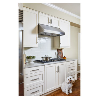 Georgetown DC Kitchen - Transitional - Kitchen - DC Metro - by InSite ...