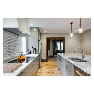 Glebe Addition/Kitchen - Modern - Kitchen - Ottawa - by Fulton ...