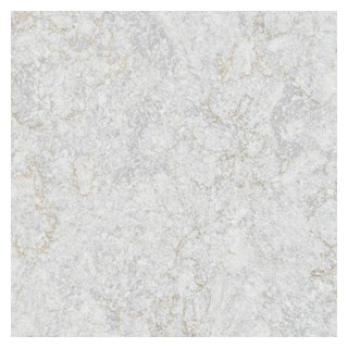 Gray Lagoon - Kitchen - Orange County - by MSI | Houzz