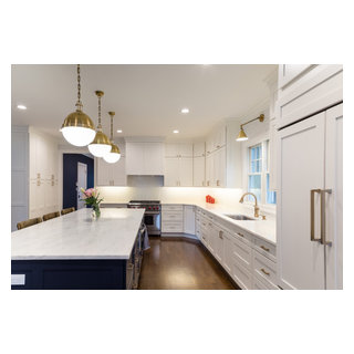 Hale Navy & White - Transitional - Kitchen - New York - by Five Star ...
