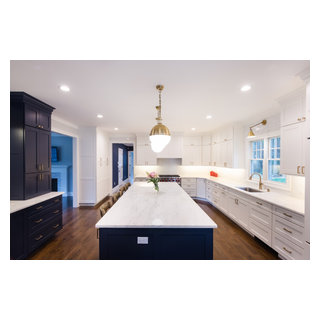 Hale Navy & White - Transitional - Kitchen - New York - by Five Star ...
