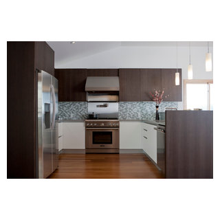 High Function Contemporary Kitchen - Milbrae Construction Project ...