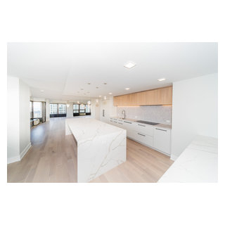 High Rise Condo Remodel - Modern - Kitchen - Chicago - by Barts ...