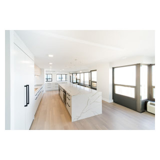 High Rise Condo Remodel - Modern - Kitchen - Chicago - by Barts ...