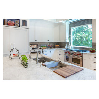 Julien Sink & wolf appliances - Transitional - Kitchen - Charlotte - by ...