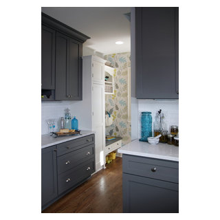 Kitchen Fun with Storm Gray - Gray and White Cabinets - Transitional ...