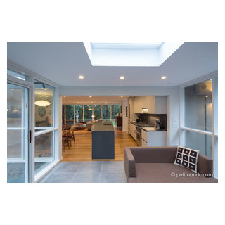 Kitchen in Midcentury Home - Midcentury - Kitchen - DC Metro - by ...