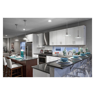 Kitchen - Modern - Kitchen - Chicago - by MK Construction & Builders ...