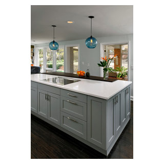 Kitchen of Color - Modern - Kitchen - DC Metro - by Lauren Levant ...