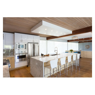 Kitchen Remodel - Modern - Kitchen - Chicago - by Chi Renovation ...