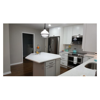 Kitchen Remodel - Transitional - Kitchen - St Louis - by STL Design and ...