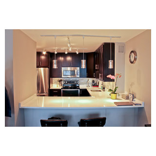 Kitchen Remodeling Gold Cost Chicago - Modern - Kitchen - Chicago - by ...