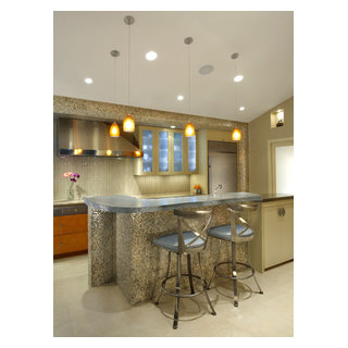 Kitchens and Bathrooms - Contemporary - Kitchen - New York - by Anthony ...
