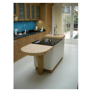 Kosher kitchen and Passover kitchen - Contemporary - Kitchen - Other ...