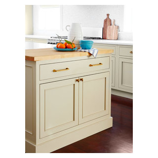 Lakeview Single Family Remodel - Transitional - Kitchen - Chicago - by ...