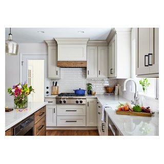 Laura & Mike's kitchen - Transitional - Kitchen - Chicago - by April ...
