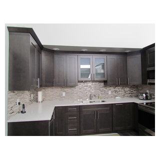 Lema - Modern - Kitchen - Calgary - by Michelle Kardolus – Gem Cabinets ...