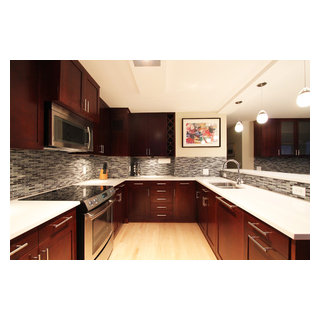 Lincoln Park High-rise Kitchen - Contemporary - Kitchen - Chicago - by ...