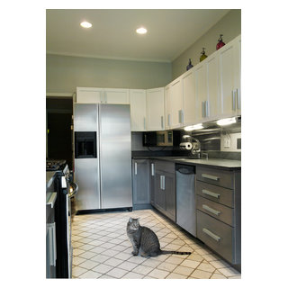 Logan Square Cottage - Transitional - Kitchen - Chicago - by Kelly ...