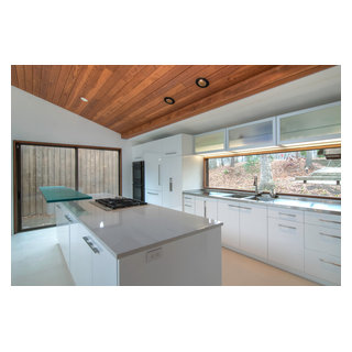 M2 House - Modern - Kitchen - Charlotte - by Liquid Design | Houzz