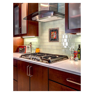Medallion Silverline & Holiday Frameless - Modern - Kitchen - Other ...
