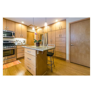 Mid-Century Modern Kitchen - Midcentury - Kitchen - Chicago - by Darcy ...