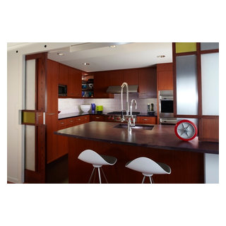 Mid Century Modern Kitchen - Contemporary - Kitchen - Minneapolis - by ...