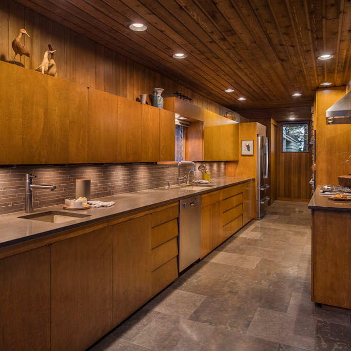 Mid Century Modern Ceiling - Photos & Ideas | Houzz