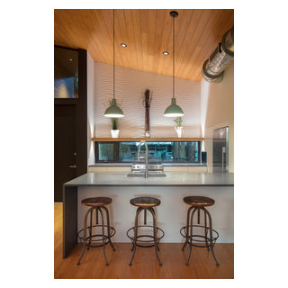 Mike's Hammock - Scandinavian - Kitchen - Other - by Josh Wynne ...