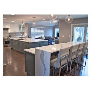 Modern Dramatic Kitchen Remodel - Modern - Kitchen - Chicago - by ...