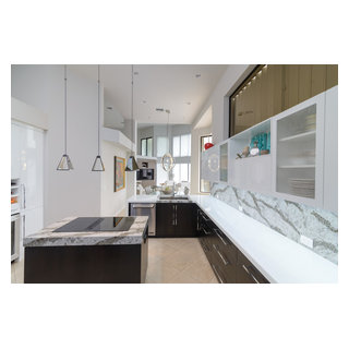 Modern Home Remodel collaboration with Boca Raton designer, Sheri ...