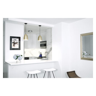 Modern kitchen - Modern - Kitchen - New York - by Spectra Design Build ...