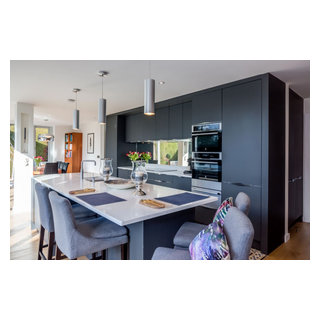 Modern Matte Kitchen Design - Modern - Kitchen - Dublin - by Tierney ...