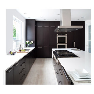 Modern Style Cabinets - Contemporary - Kitchen - DC Metro - by JACK ...