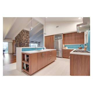 Modern Walnut Kitchen - Midcentury - Kitchen - Tampa - by TaylorPro ...