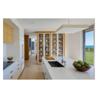 Modern White Kitchen with Induction Cooktop and Glass Front Cabinets ...