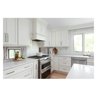 Mohawk Court Kitchen - Transitional - Kitchen - Chicago - by Plain ...